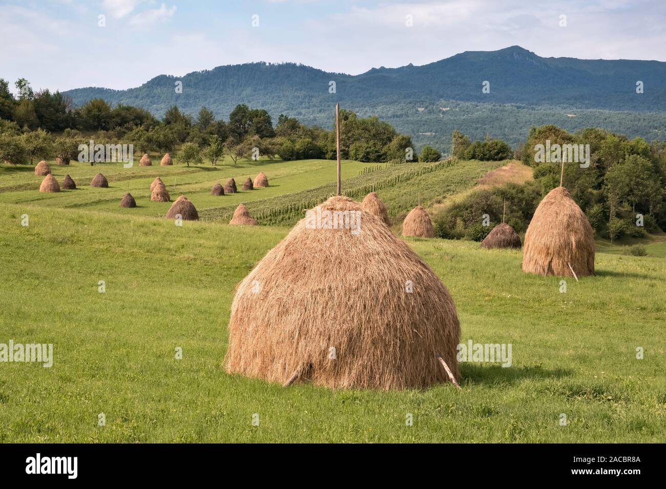Haystack haystacks romania romanian hi-res stock photography and images ...