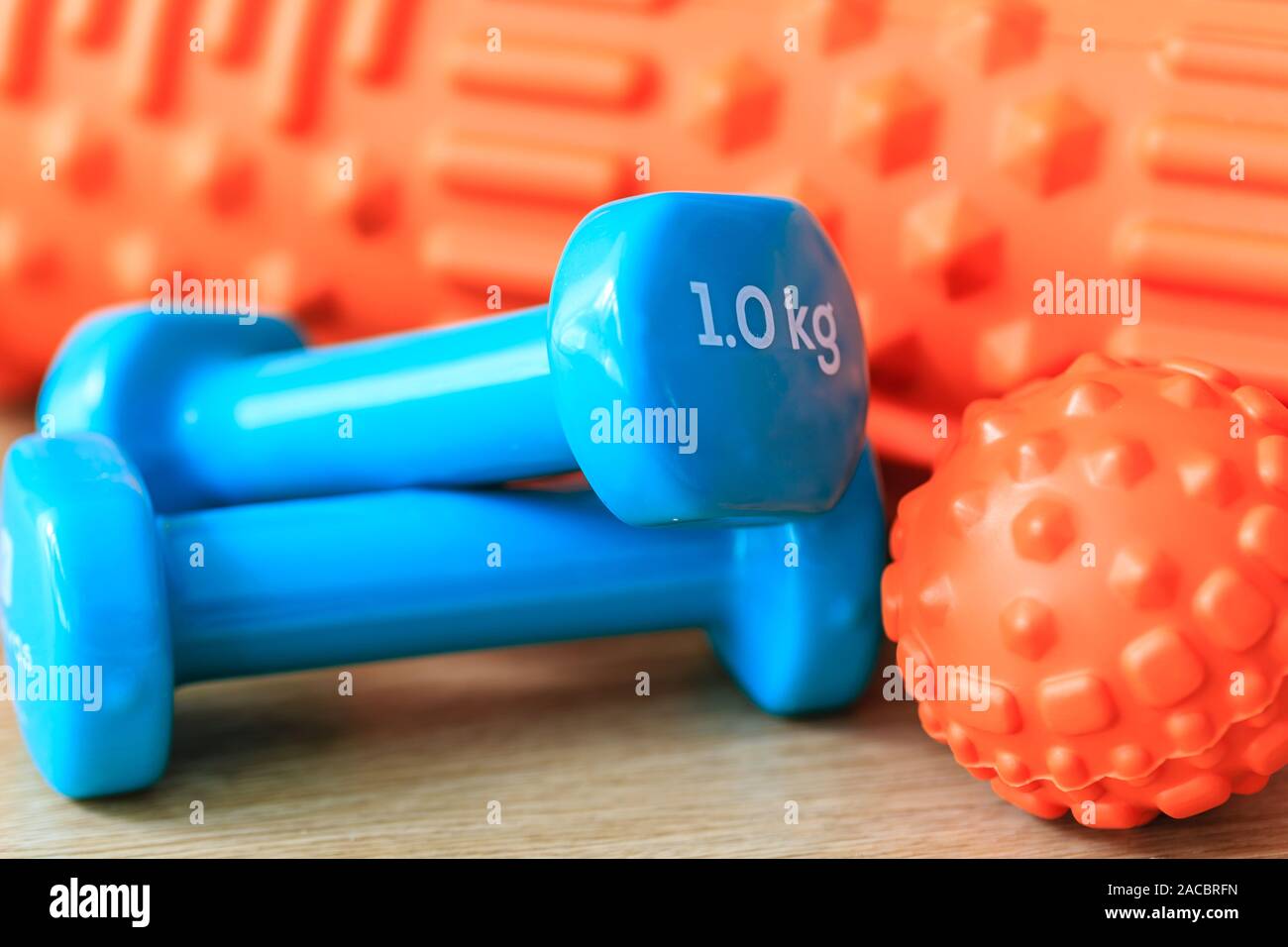 Pair of Blue Purple 1 kg Workout Exercise Dumbbell Stock Photo - Alamy