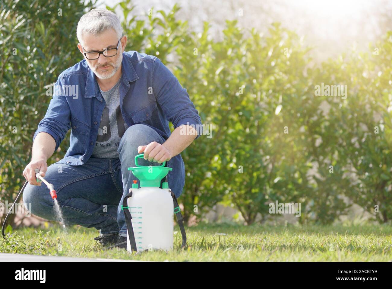 Spraying weeds garden hi-res stock photography and images - Alamy