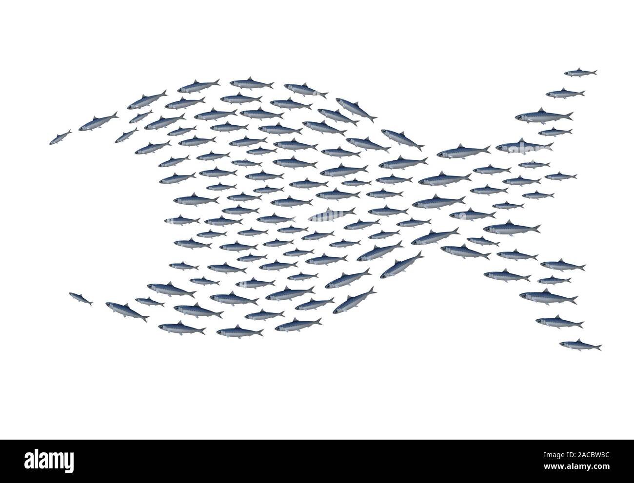 Sardines group become big fish, concept unity is strength, 3d ...