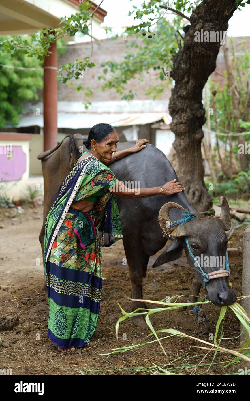 Women of rural area at Gujarat, India Stock Photo - Alamy
