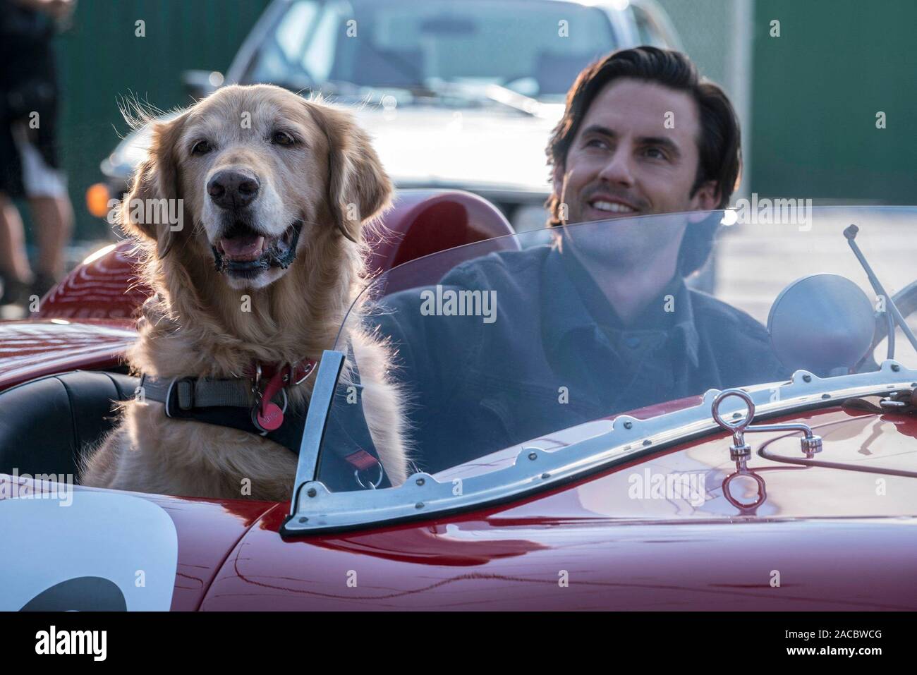 MILO VENTIMIGLIA in THE ART OF RACING IN THE RAIN (2019), directed by ...