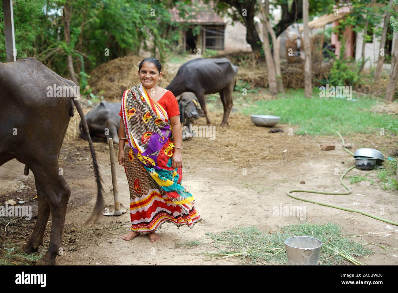 Women of rural area at Gujarat, India Stock Photo - Alamy