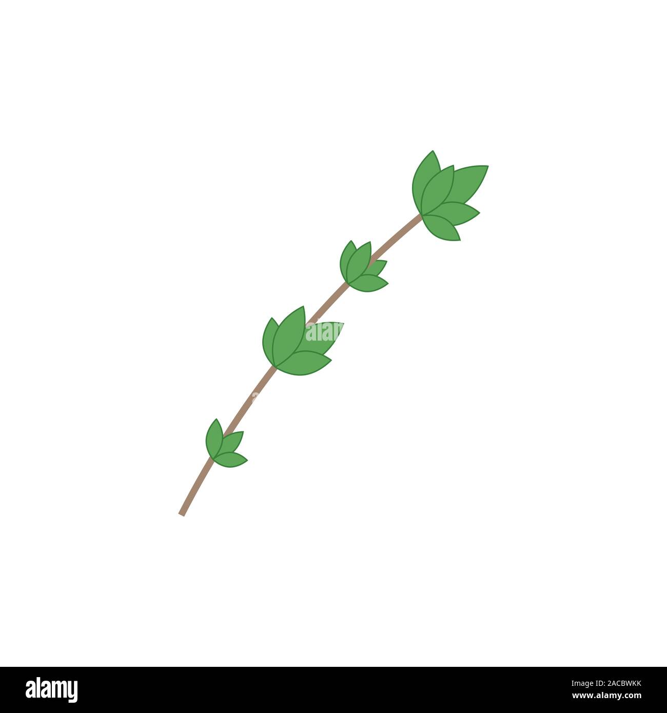 Thyme leaf icon flat style. Vector eps10 Stock Vector Image & Art - Alamy