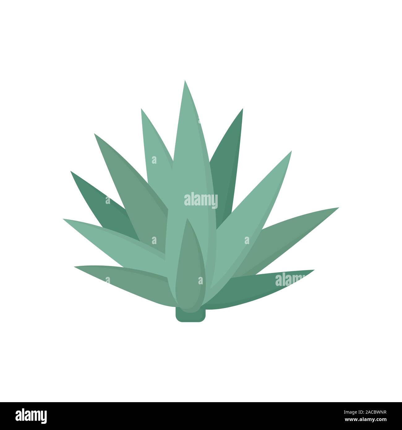 Agave icon flat style simple design. Vector eps10 Stock Vector Image ...