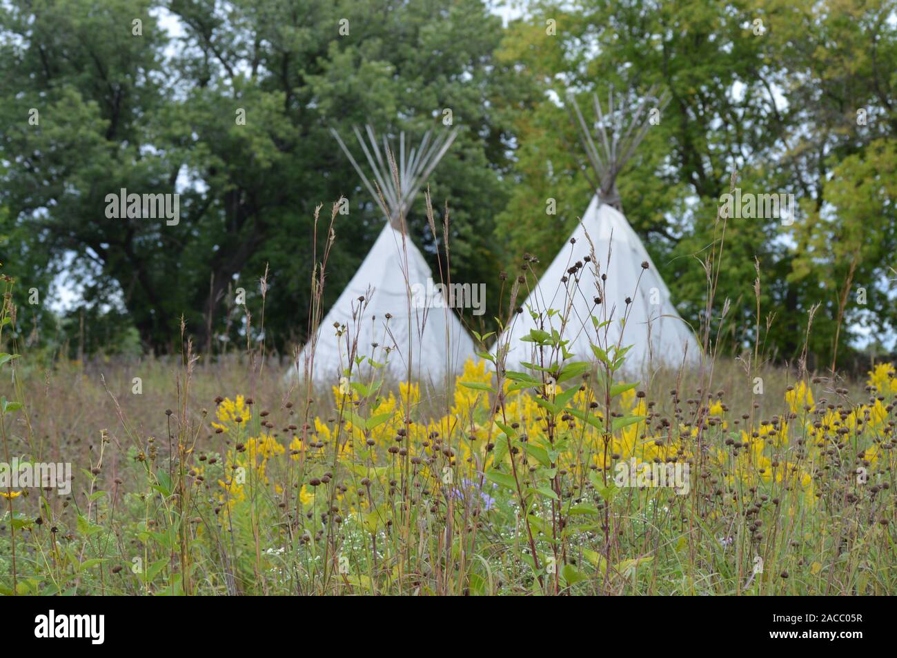 Teepees in the prairie Stock Photo - Alamy