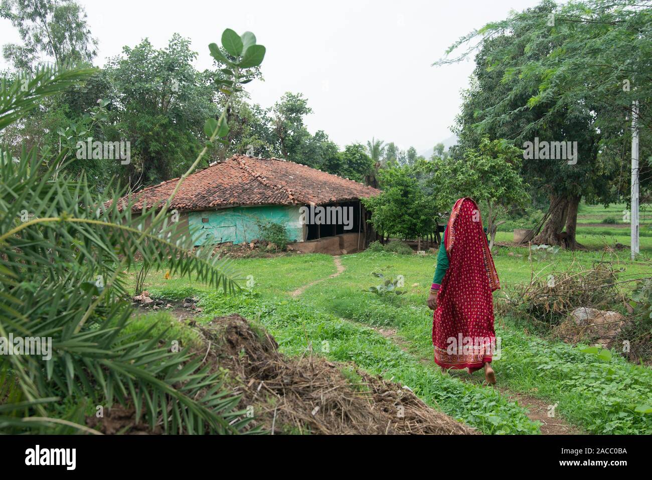 People of Sabarkantha, Gujarat Stock Photo - Alamy