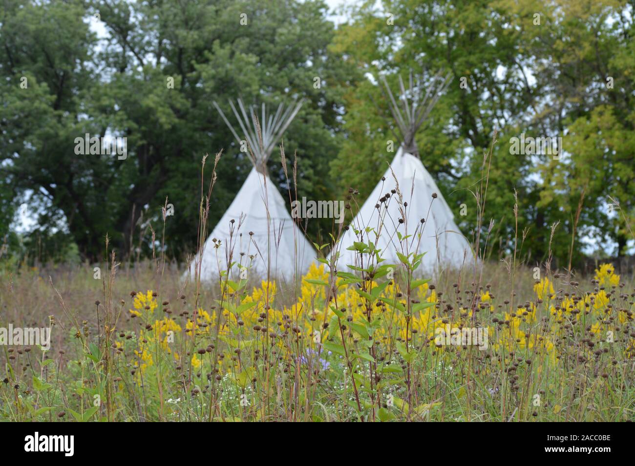 Teepee with flowers hi-res stock photography and images - Alamy