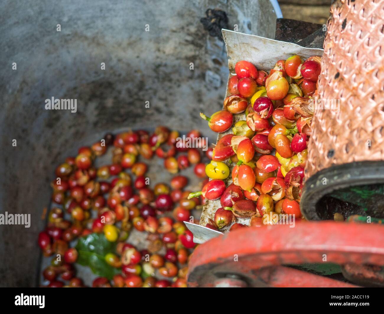 Coffee processing machine hi-res stock photography and images - Alamy