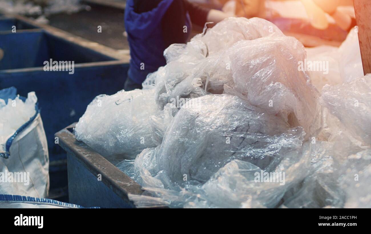 sorting and recycling of garbage, cellophane, workers sort garbage in a ...