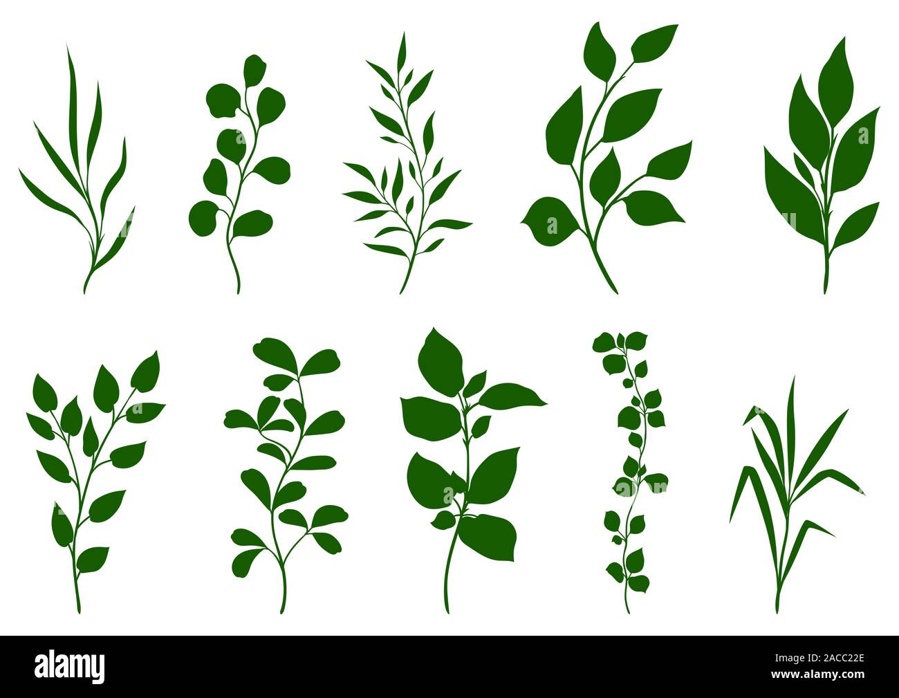 Natural sprigs Stock Vector Images - Alamy