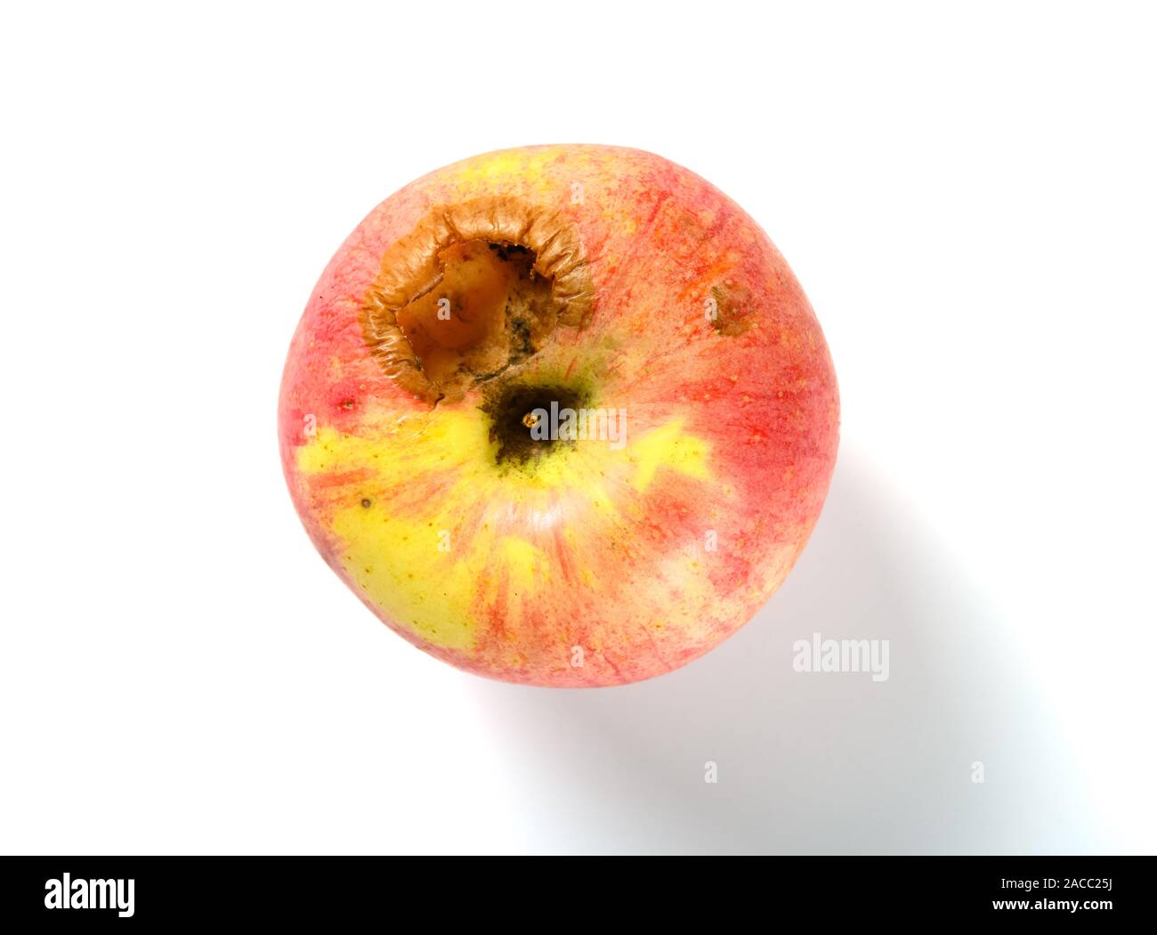 top view ripe apple bited by insect on white Stock Photo - Alamy