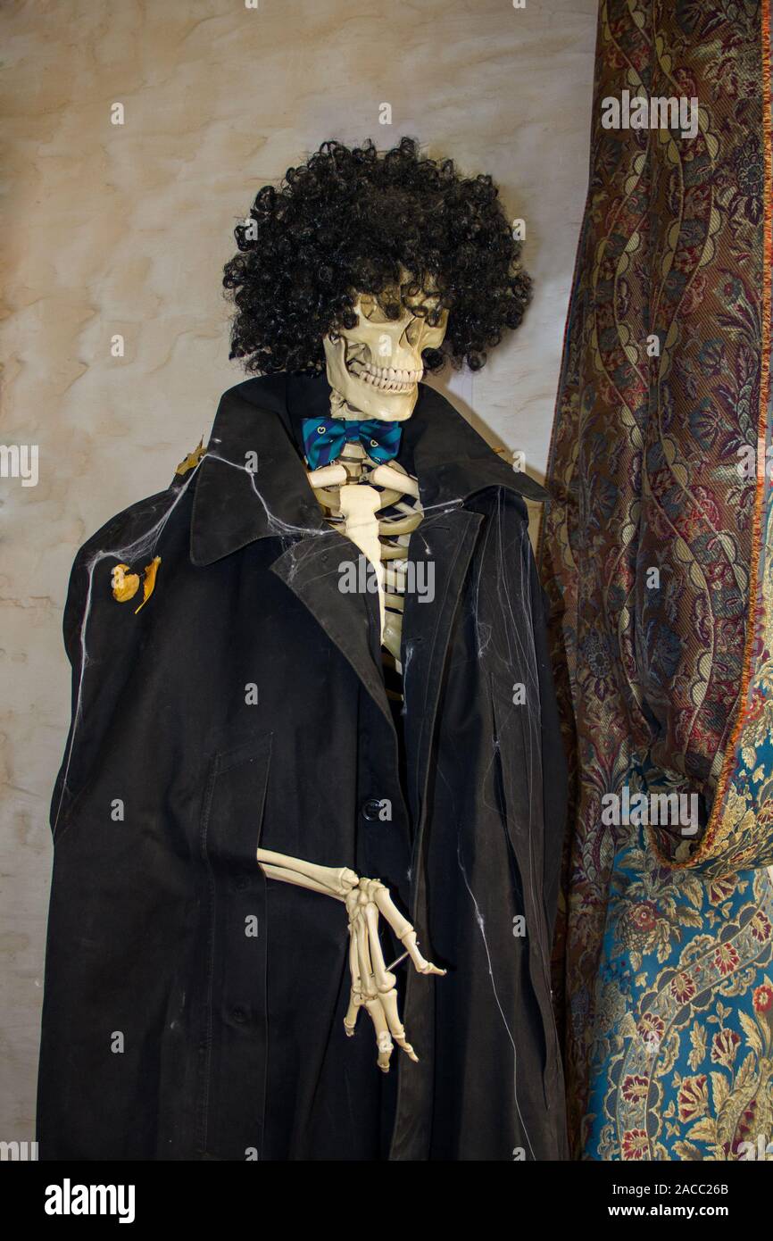 Skeleton wig hi-res stock photography and images - Alamy
