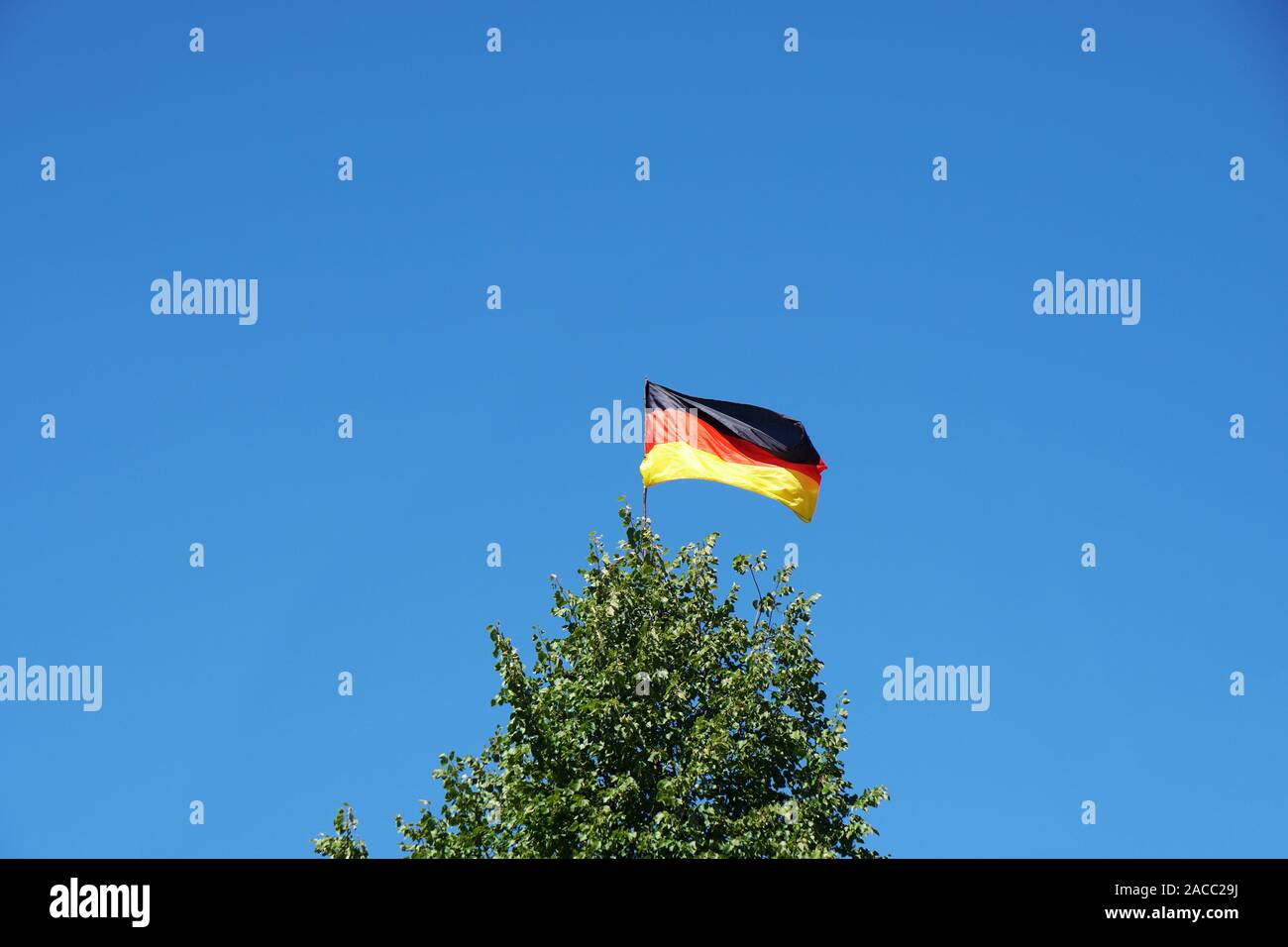 german flag waving on top of tree against clear sky background with ...