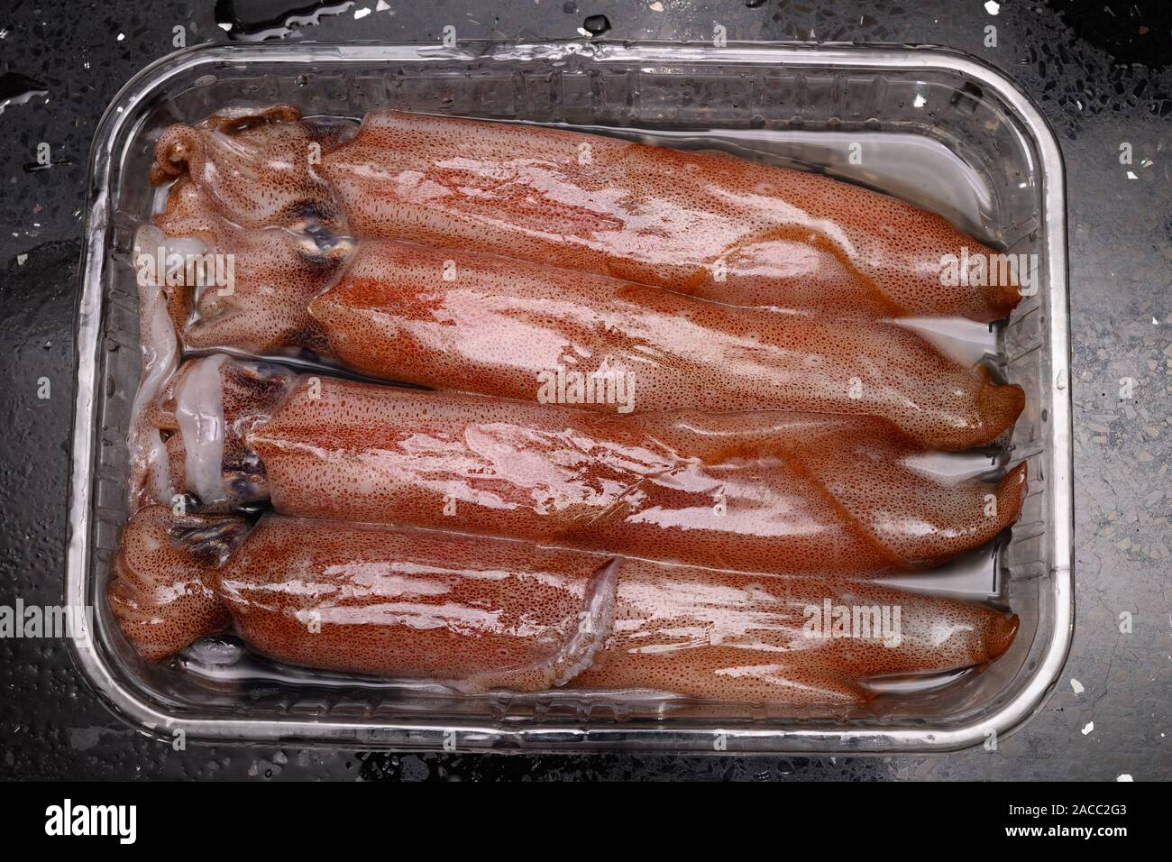top view fresh raw squids Stock Photo - Alamy