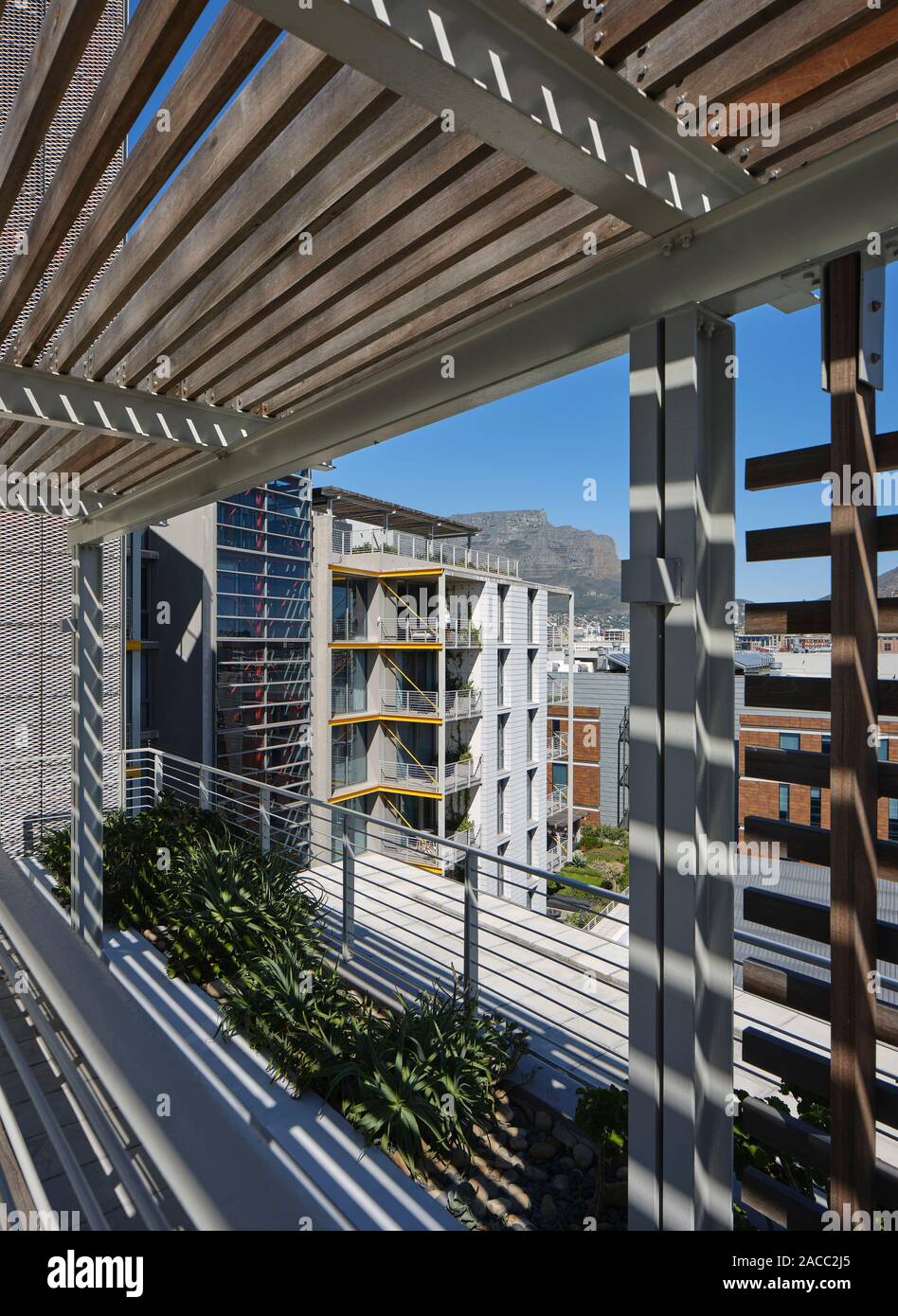 Timber slat canopy over communal rooftop terrace. Silo District Cape ...