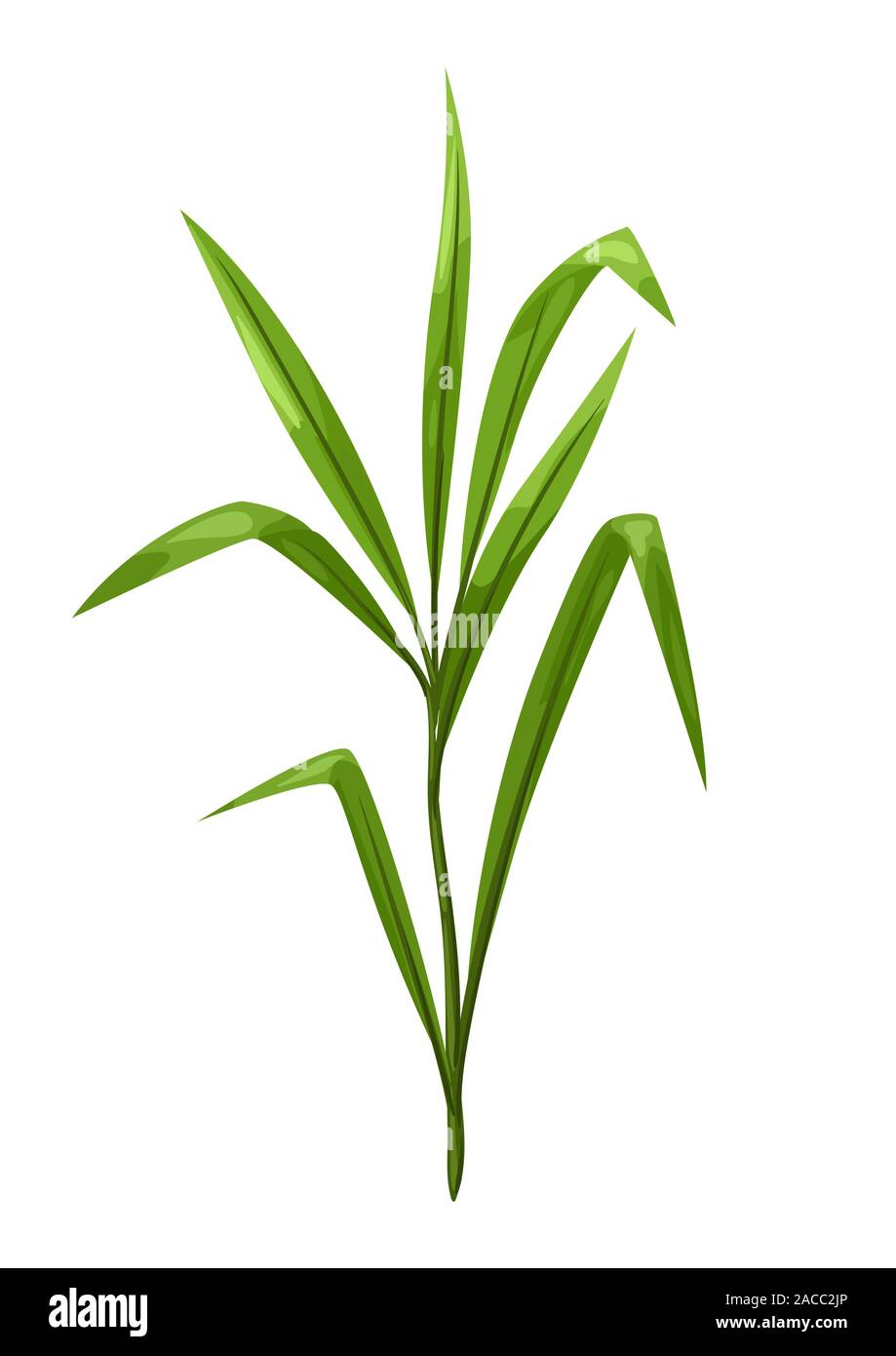 Illustration of sprig with green leaves Stock Vector Image & Art - Alamy