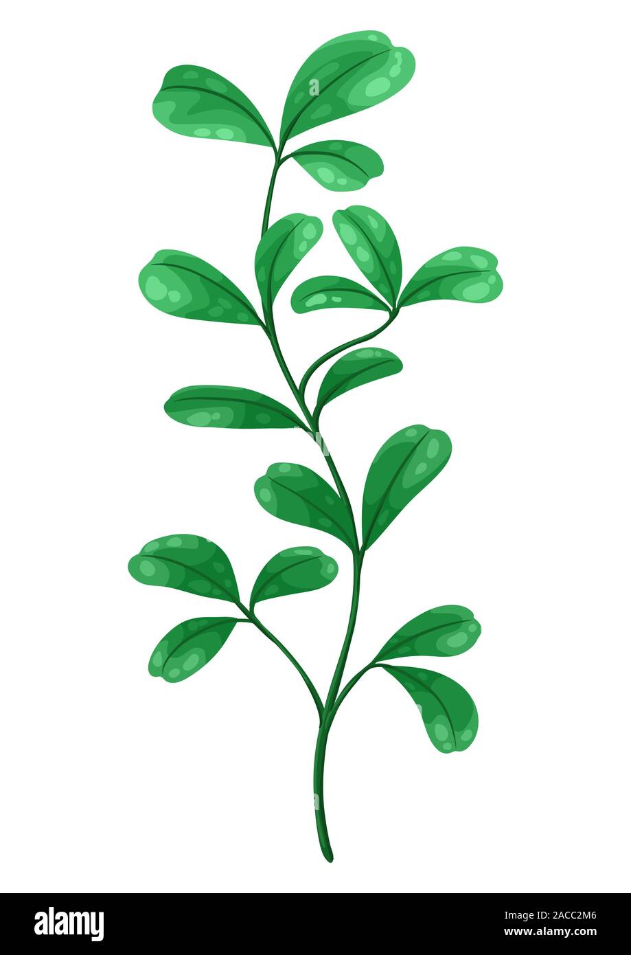Illustration of sprig with green leaves Stock Vector Image & Art - Alamy