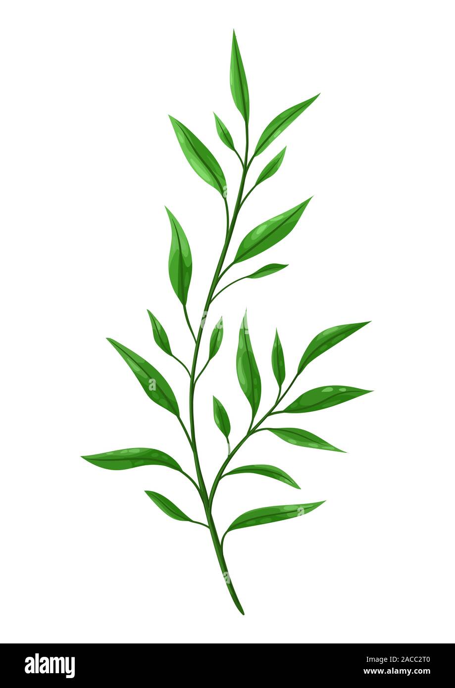Illustration of sprig with green leaves Stock Vector Image & Art - Alamy