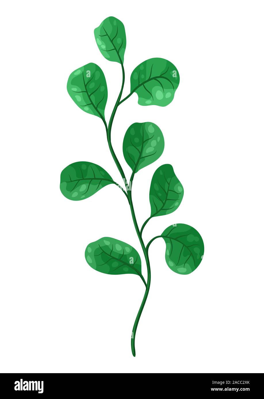 Illustration of sprig with green leaves Stock Vector Image & Art - Alamy