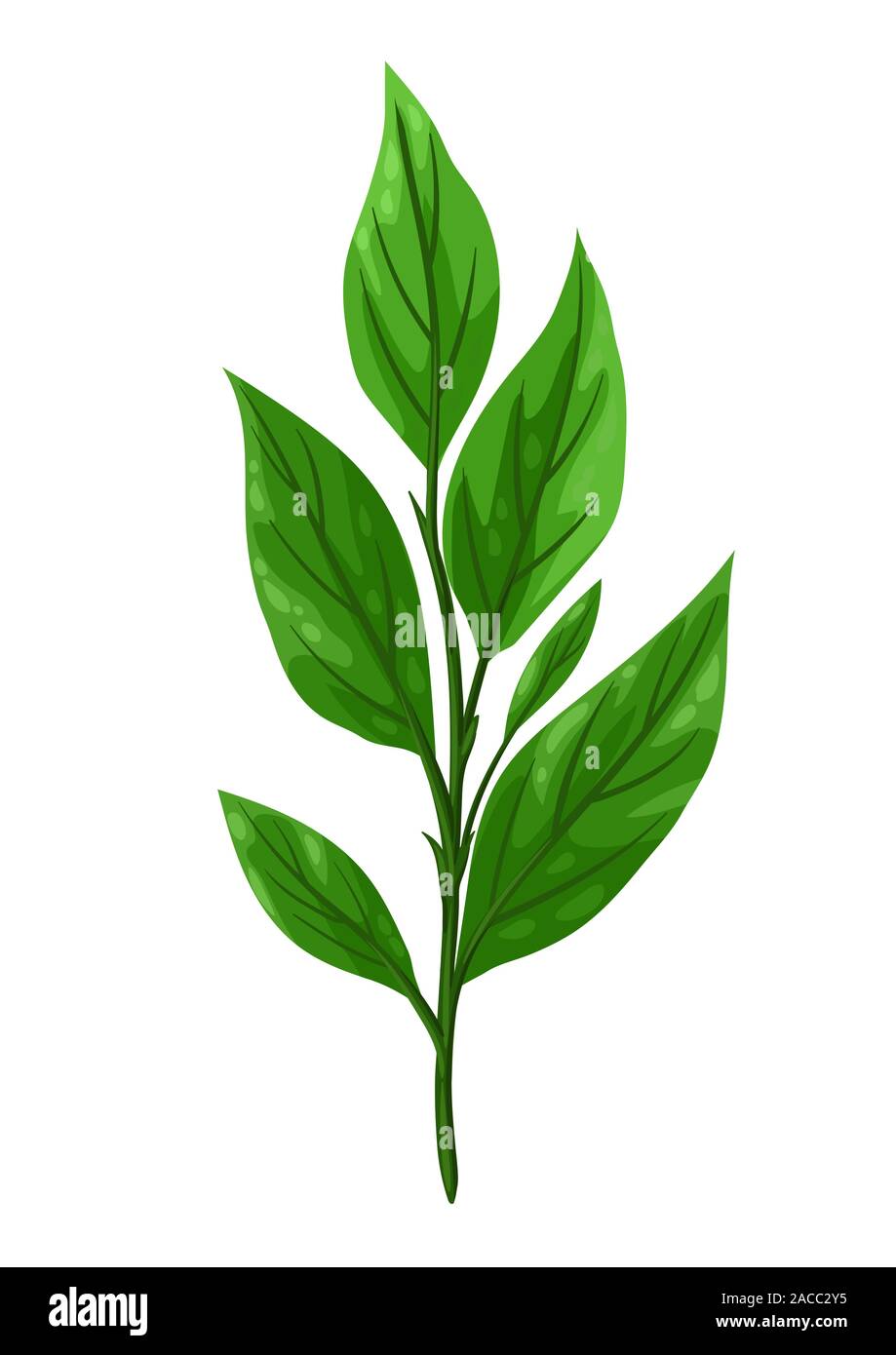Illustration of sprig with green leaves Stock Vector Image & Art - Alamy