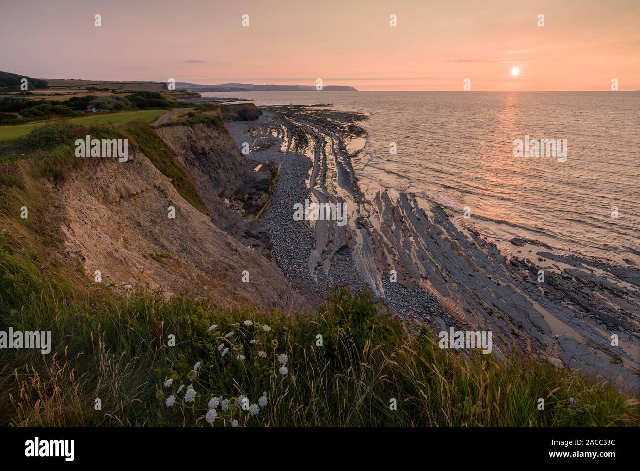 The cliffs at Kilve beach in the Quantock Hills National Landscape ...