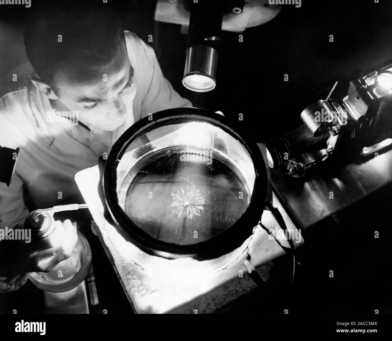 Physicist studying alpha radiation in a cloud chamber. The flower-like ...