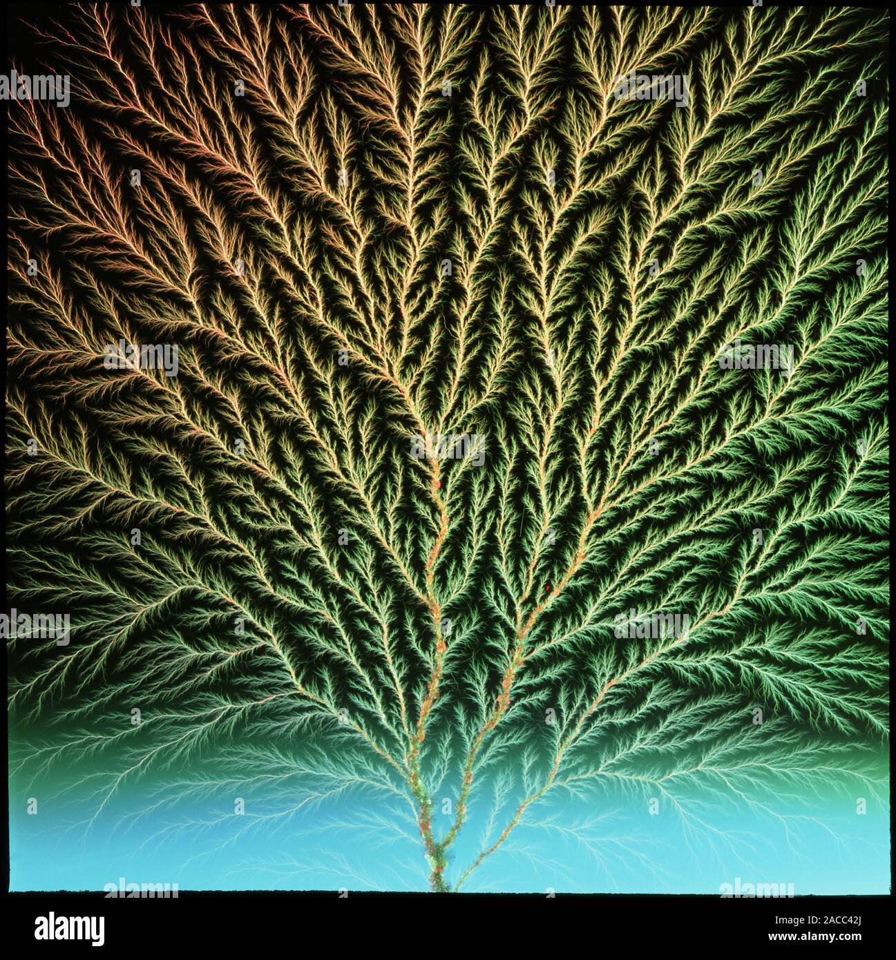 Electron tree. View of an 'electron tree' produced in a block of ...