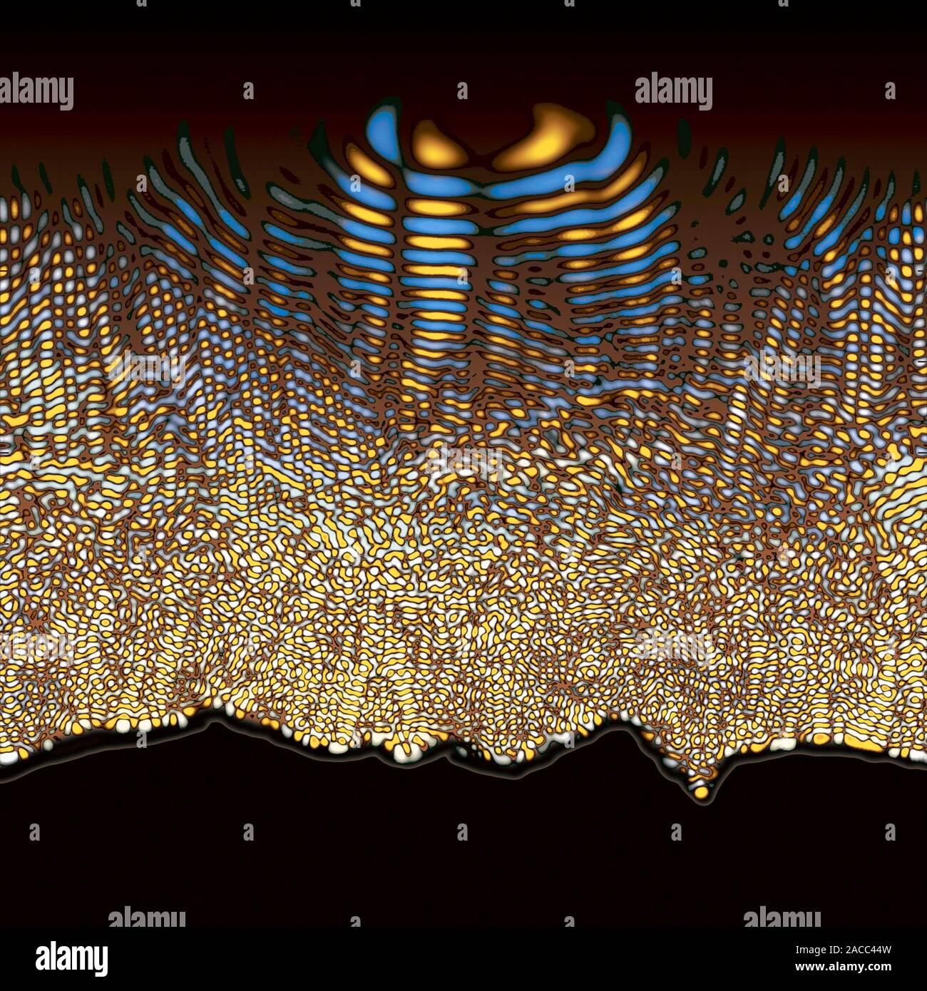 Quantum waves. Computer model showing a quantum wavefunction bouncing ...