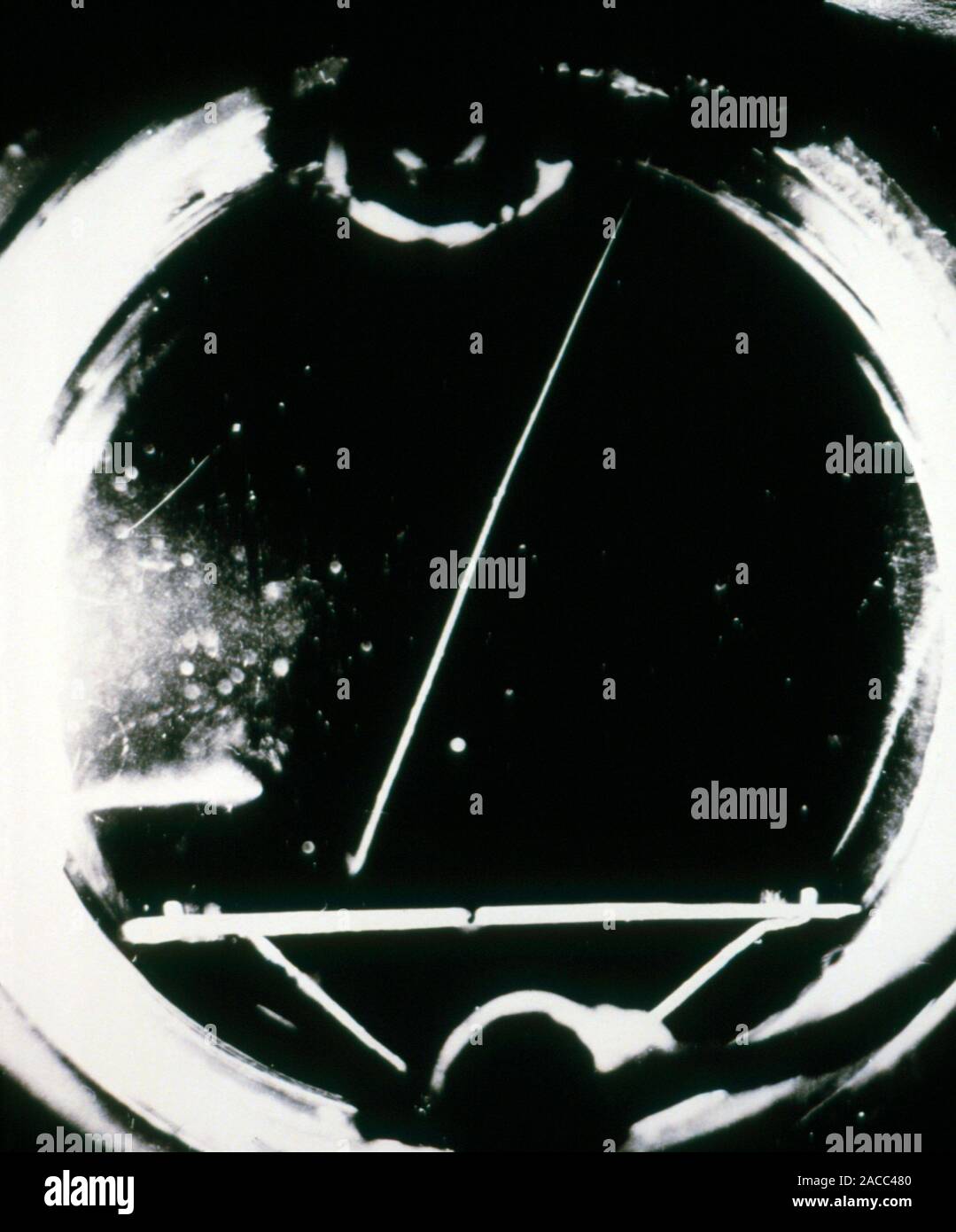 Taken in 1932, this was one of the first pictures to show the presence ...