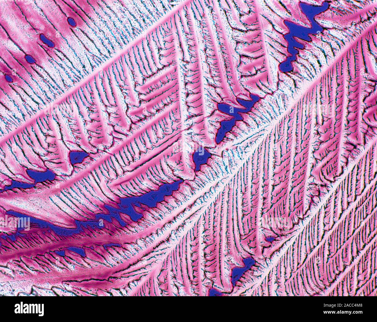 Iodine. Polarised light micrograph of a crystal of iodine. Iodine is ...