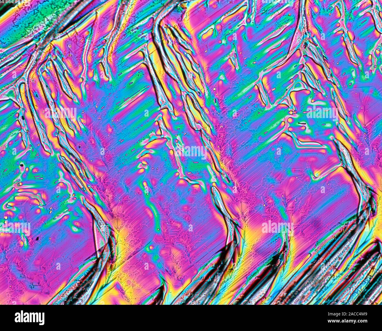 Calcium. Polarised light micrograph of a thin section of calcium ...