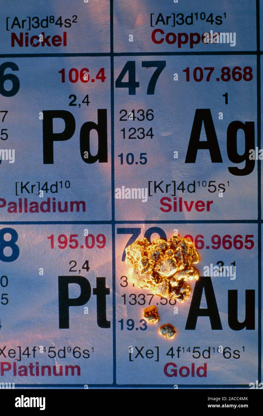 Gold. Nuggets of gold photographed on the periodic table of the ...