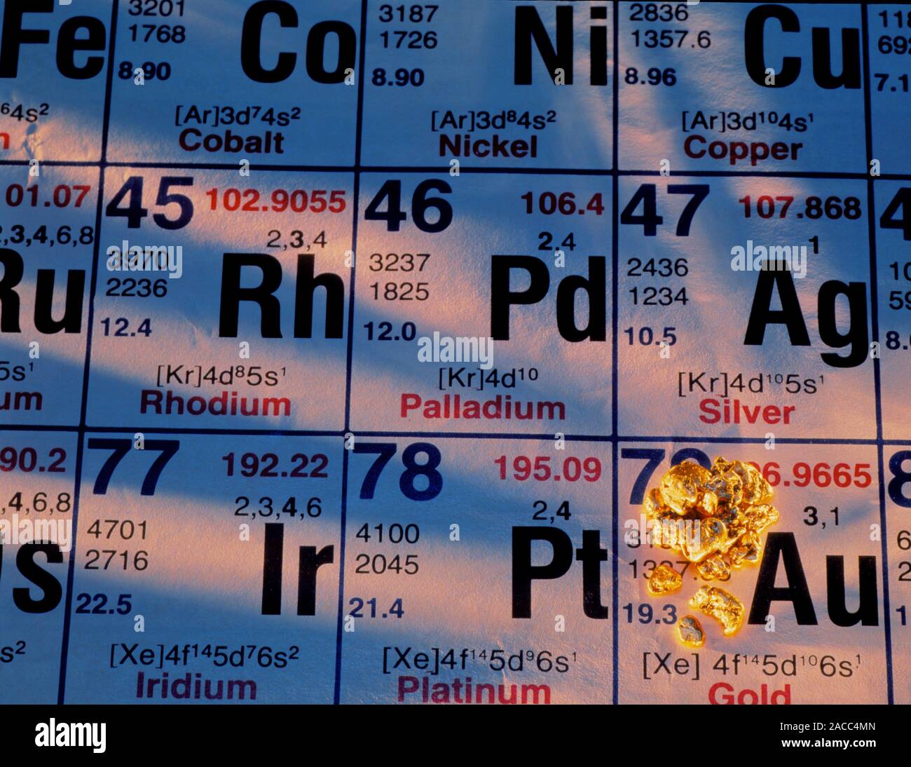 Gold. Nuggets of gold photographed on the periodic table of the ...