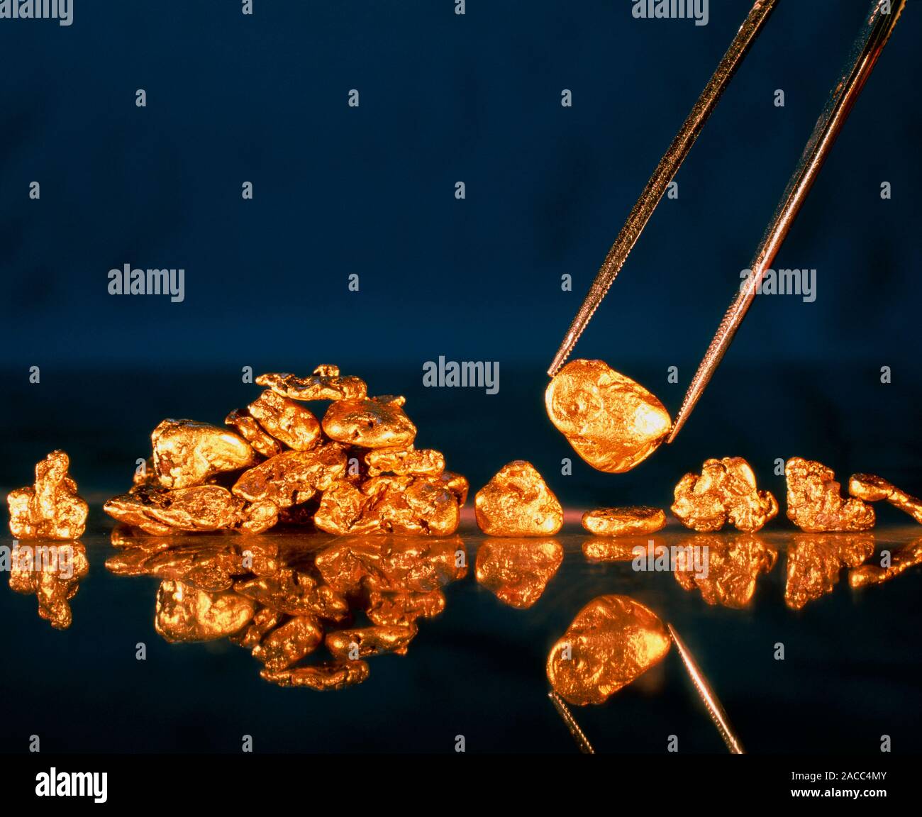 Gold. Nuggets made of gold. Gold is the 79th element of the periodic ...