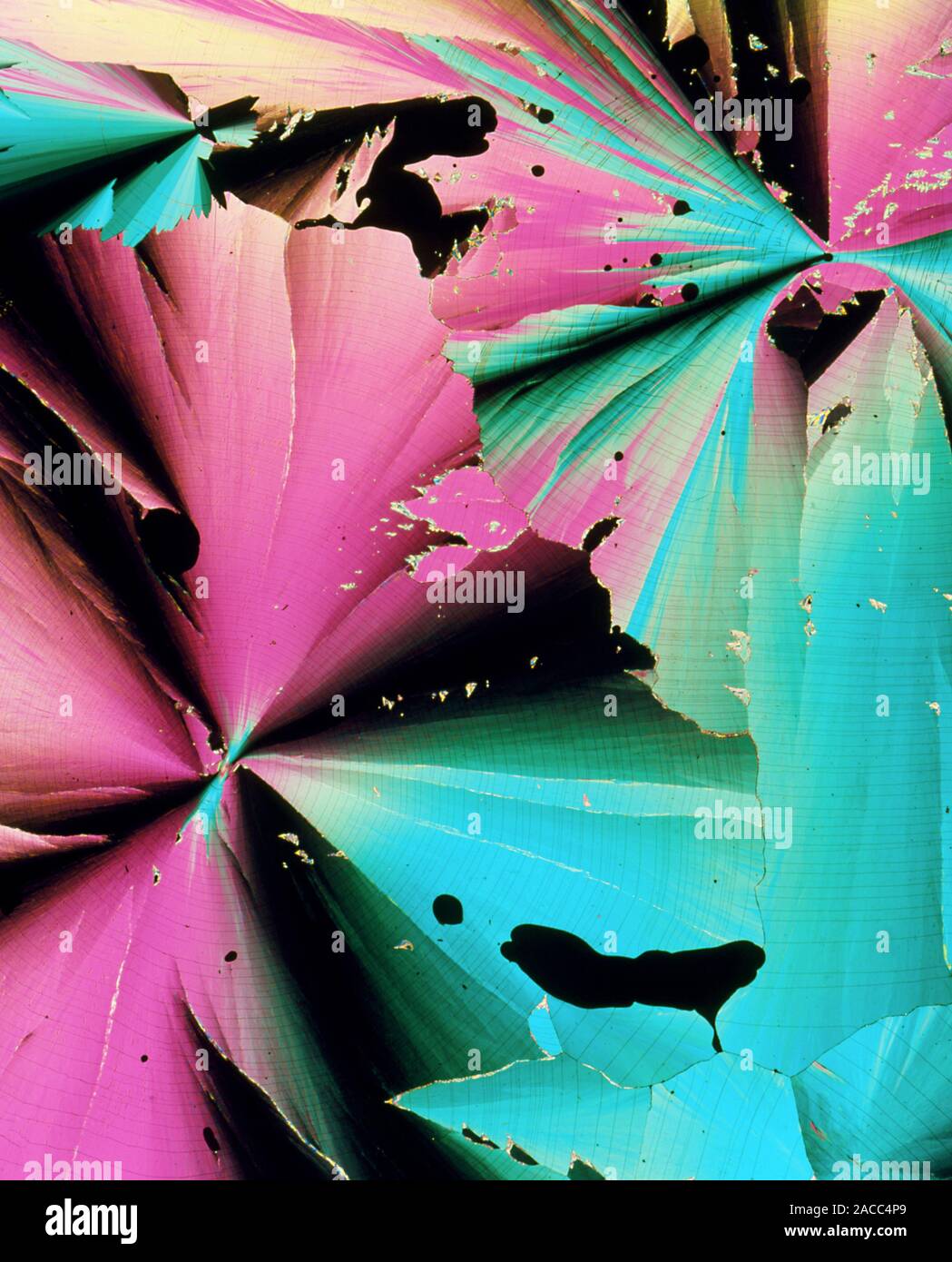 Sulphur. Polarised light micrograph (PLM) of crystals of sulphur ...