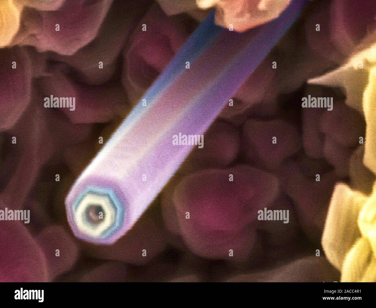 Graphite crystals. Coloured scanning electron micrograph (SEM) of a ...