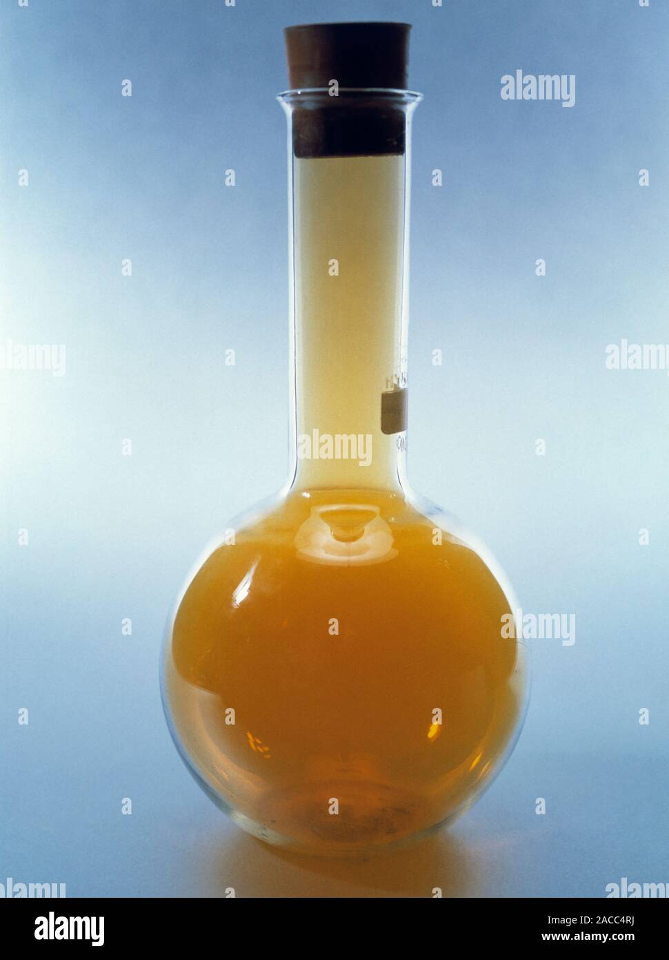Bromine vapour diffused in a flat-bottomed flask. Bromine (Br) is a ...