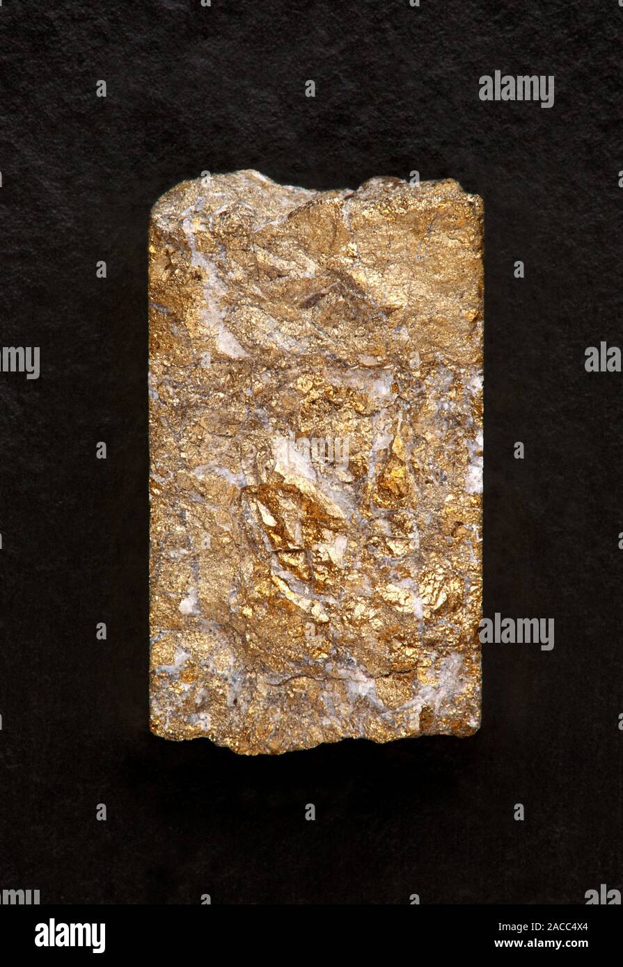 Drilled gold core sample. This drill sample shows a high concentration ...