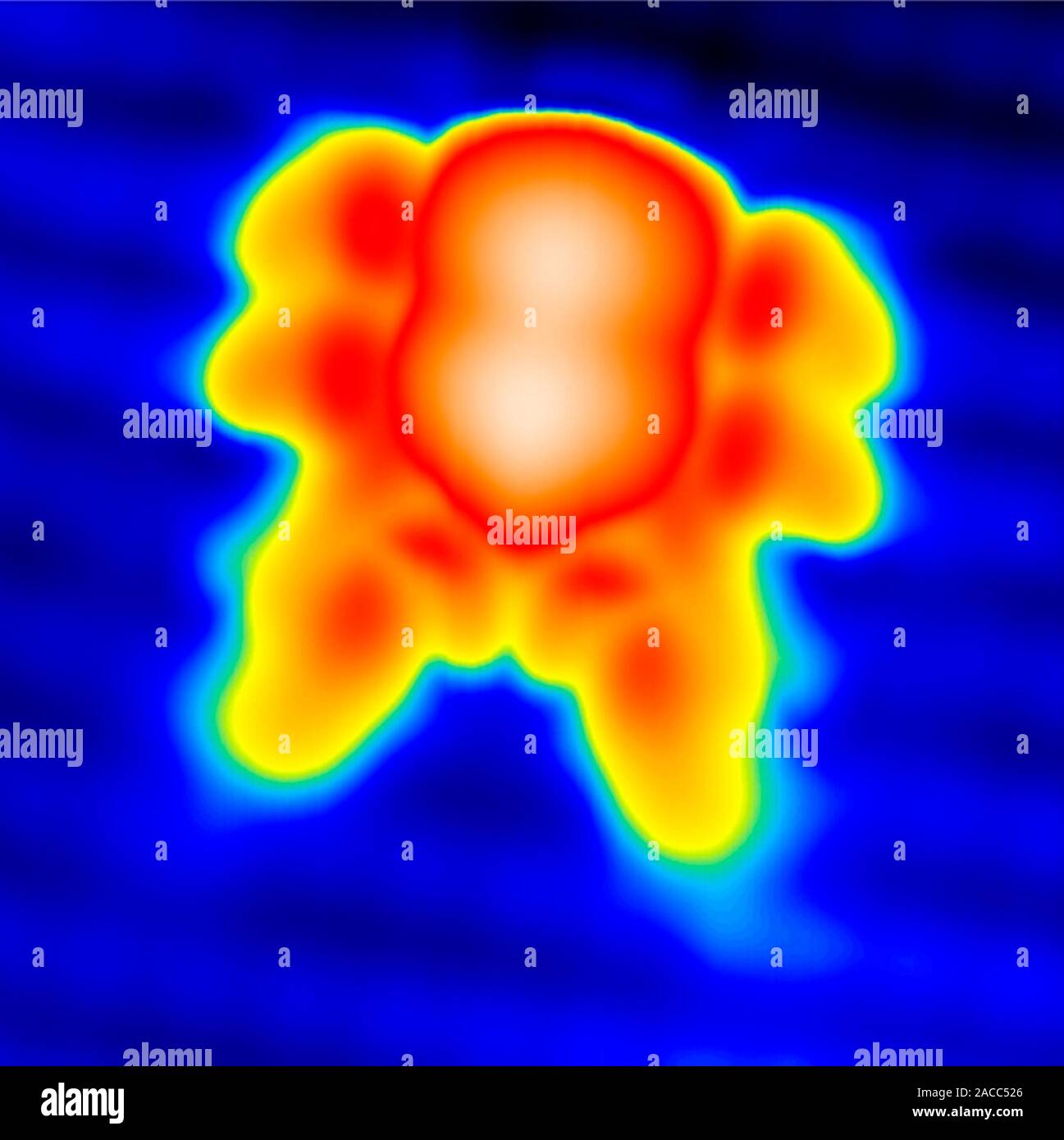Spintronics research. Coloured scanning tunnelling micrograph (STM) two ...