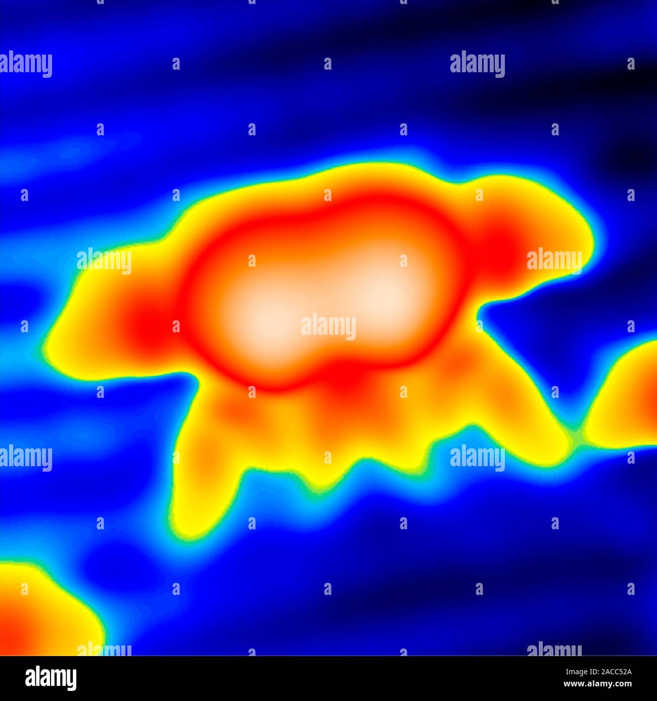 Spintronics research. Coloured scanning tunnelling micrograph (STM ...