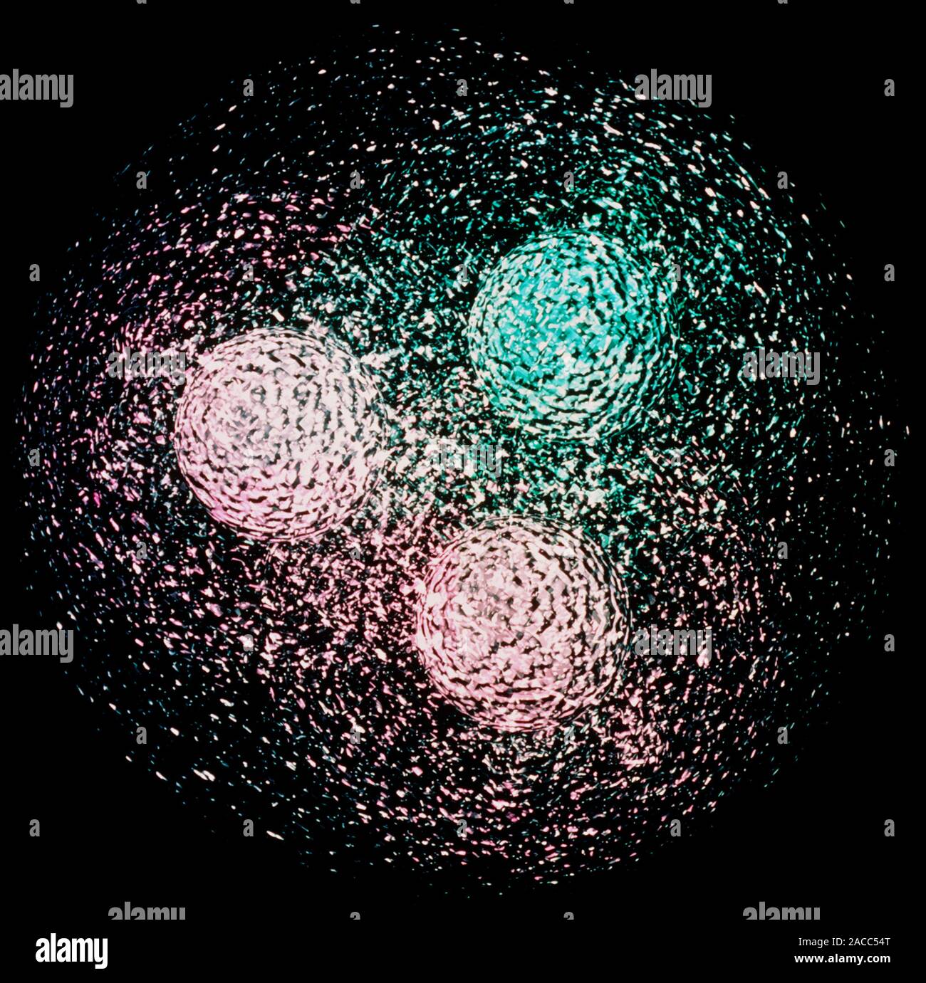 Quark structure of the neutron. Computer visualisation of the structure ...
