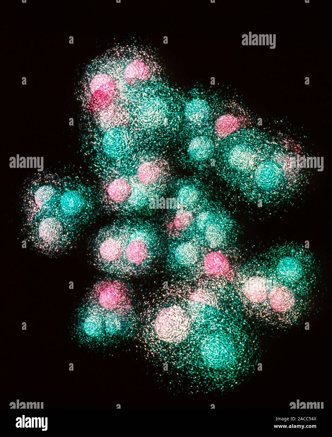Quark structure of the carbon nucleus. Computer visualisation of the ...