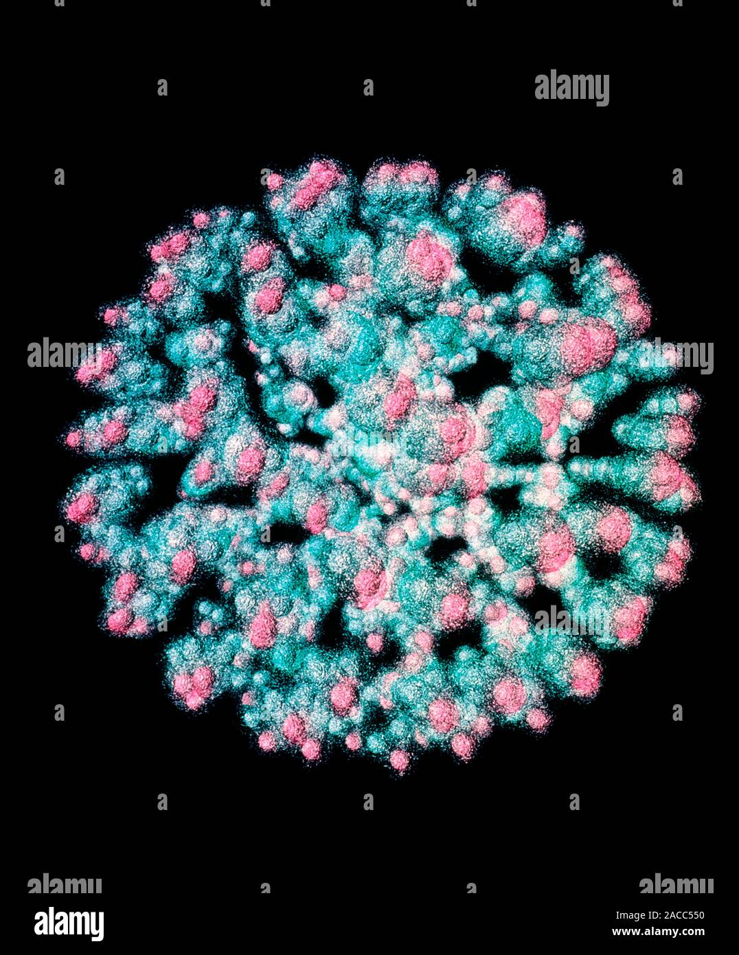Quark structure of the uranium nucleus. Computer visualisation of the ...