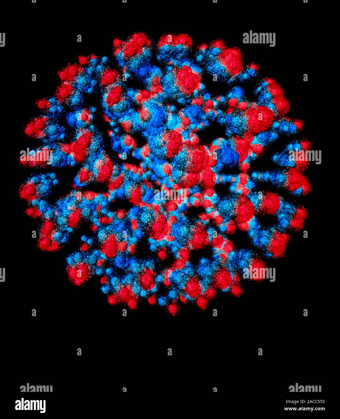 Quark structure of the uranium nucleus. Computer visualisation of the ...