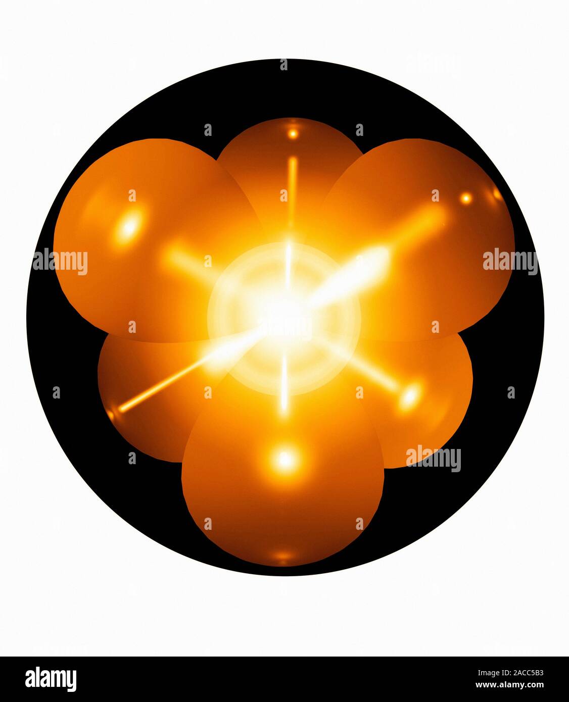 Neon atom. Computer artwork of electron orbitals in a neon atom. The ...