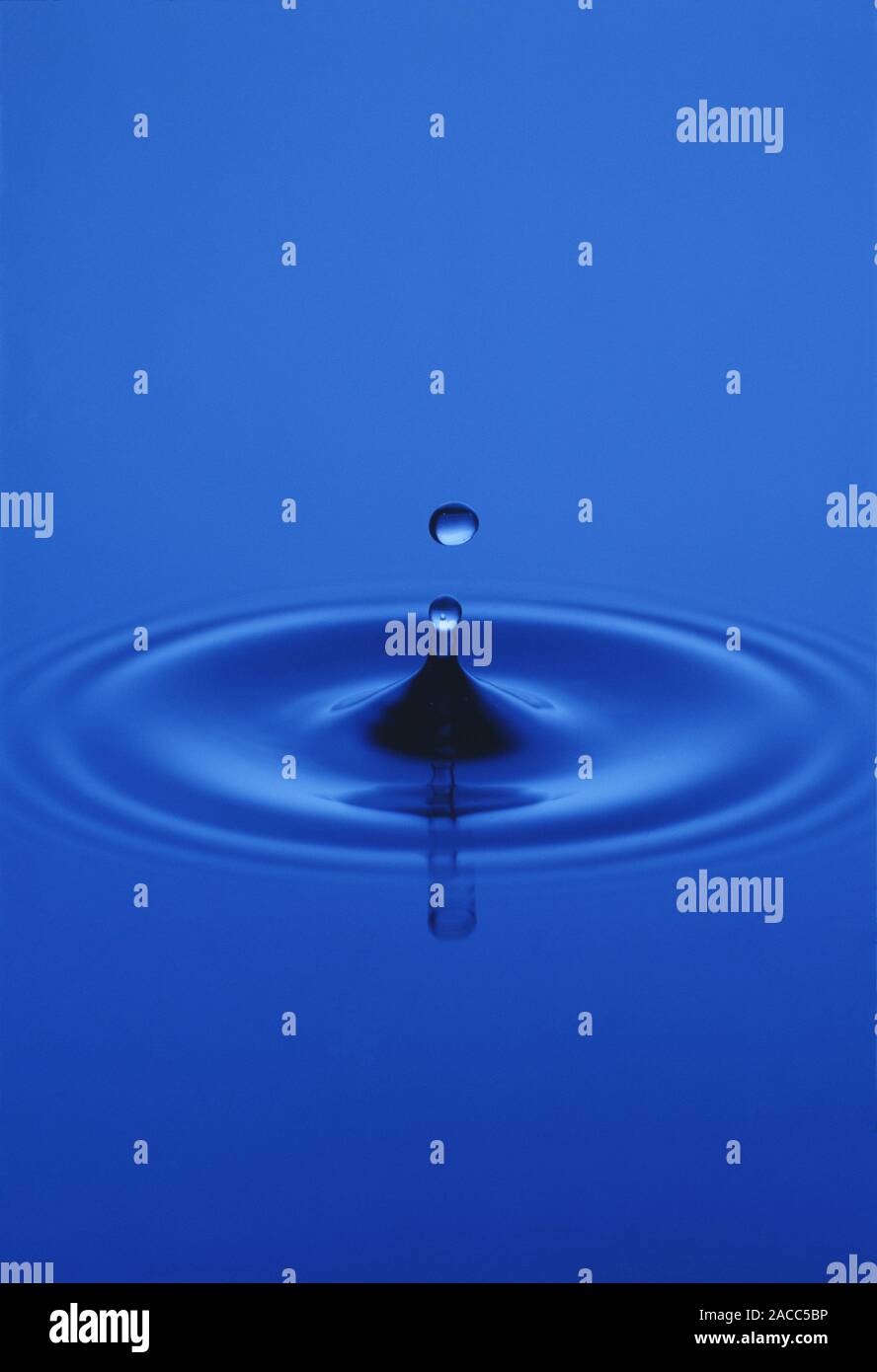 High-speed flash photograph of two water droplets. The droplets seen ...