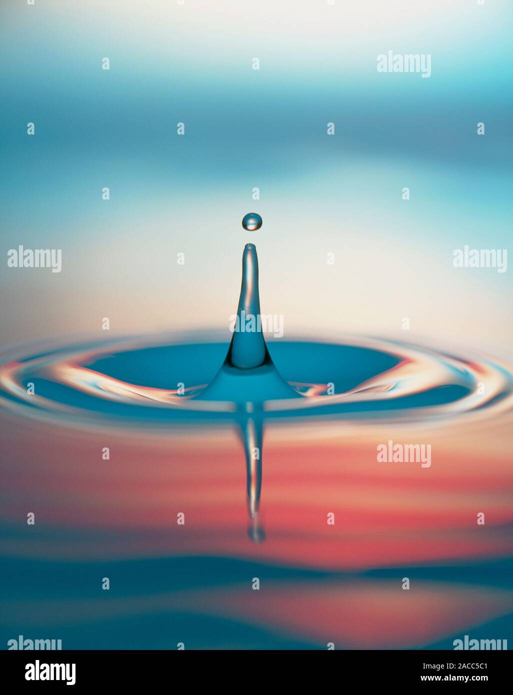 High speed photograph of a column of water, being formed following the ...