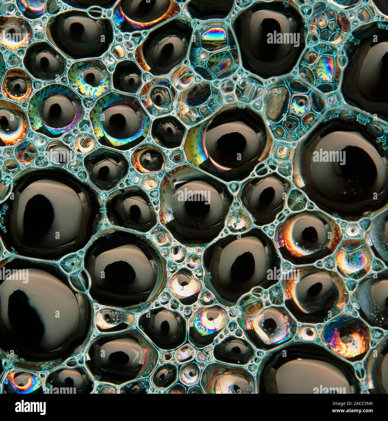 Bubbles. Layer of bubbles on water produced by washing up liquid. The ...
