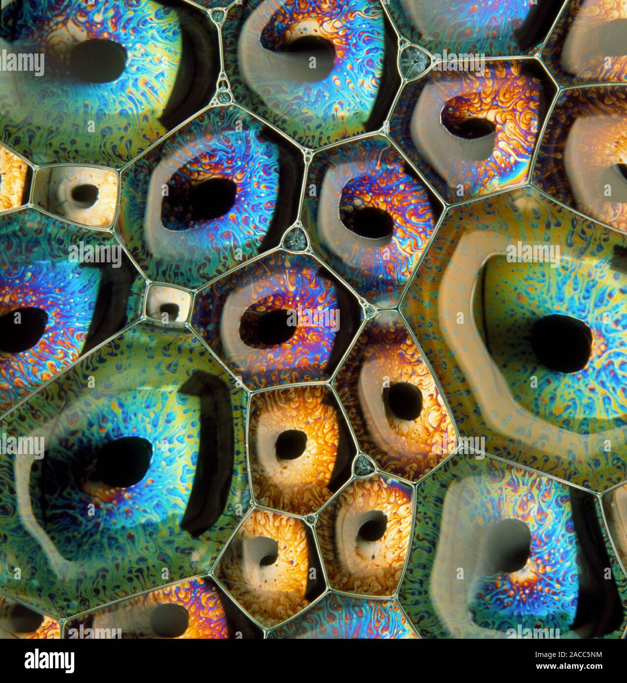 Bubbles. Layer of bubbles on water produced by washing up liquid. The ...